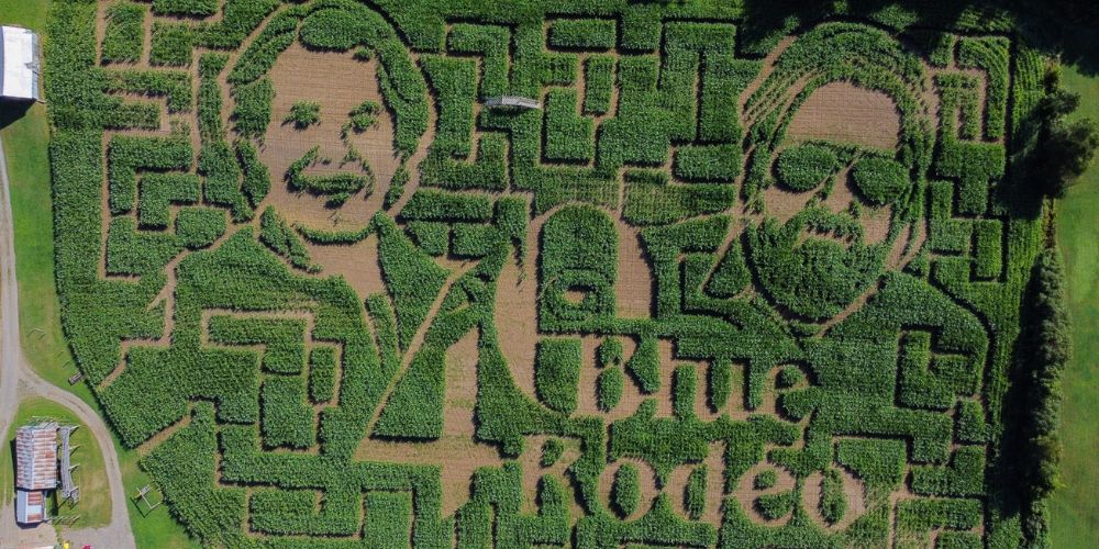 Get "Lost Together" in an elaborate Blue Rodeo Corn Maze at a cornfield ...